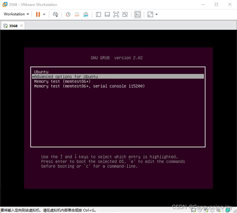 【ubuntu】smbus Host Controller Not Enabled（虚拟机进入不了图形界面） 画入新雪 博客园