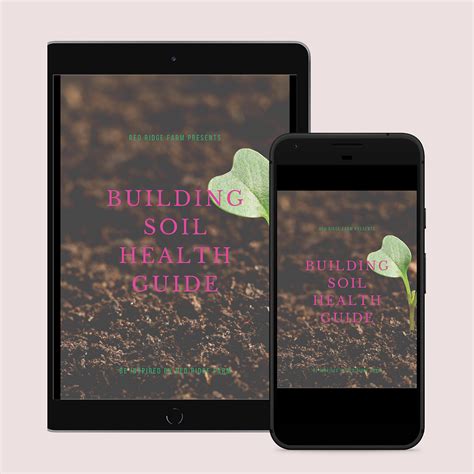 How To Turn Your Garden Into A Zero Waste System Effortlessly