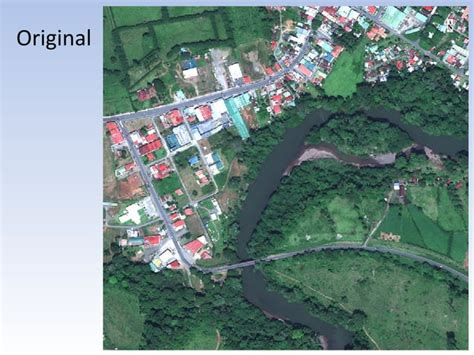 2018 Asprs Big Data Classification Of Tropical Forest Tree Species Using High Resolution