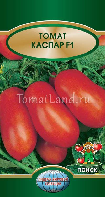 Томат Каспар: описание сорта, ОТЗЫВЫ (10), фото