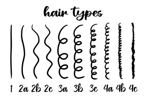 Different Scalps Types Over 10 Royalty Free Licensable Stock Vectors Vector Art Shutterstock