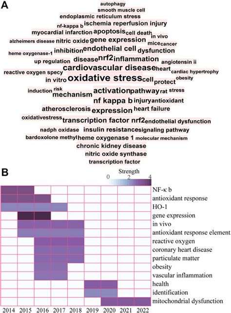 Frontiers Activation Of Nrf Signaling A Key Molecular Mechanism Of