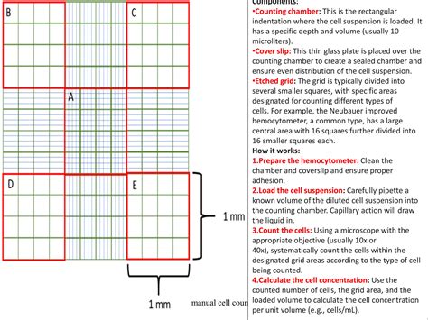 Manual Cell Count Pdf