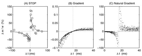 Spike Time Dependent Plasticity Stdp For An Excitatory Synapse A