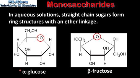 Structure Of Monosaccharides