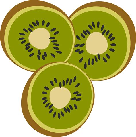 Download Kiwi Fruit Fruit Food Royalty Free Vector Graphic Pixabay