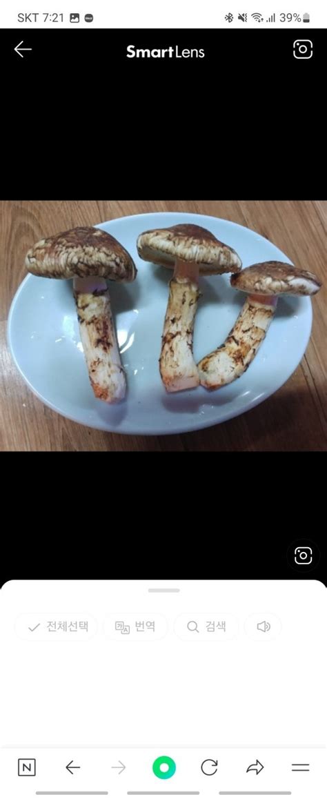 담금주용 송이버섯삽니다 살짝 핀 송이버섯 좋아합니다 경기도 여주시 연양동 비즈프로필