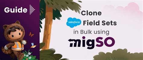 Guide To Clone Salesforce Field Sets By Using Migso