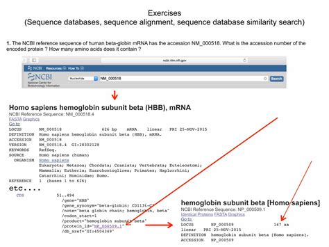 pdf exercises sequence databases sequence alignment dokumen tips