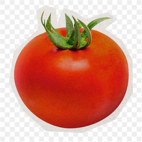 Tomato Texture Images Free Photos Png Stickers Wallpapers