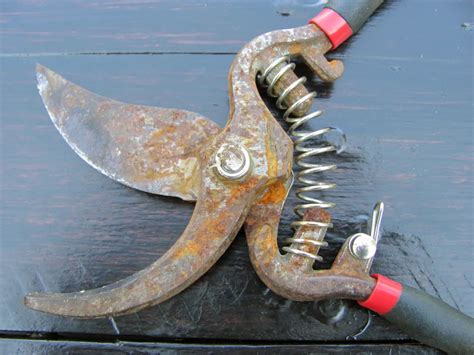 How To Easily Clean And Sharpen Your Pruning Shears