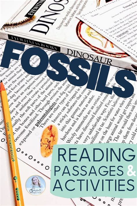 Fossils Worksheets Types Of Fossils Reading Passages 3rd 4th 5th Grade Elementary