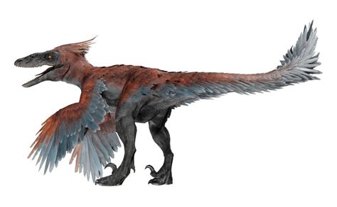 Pyroraptor By Swet123 On Deviantart