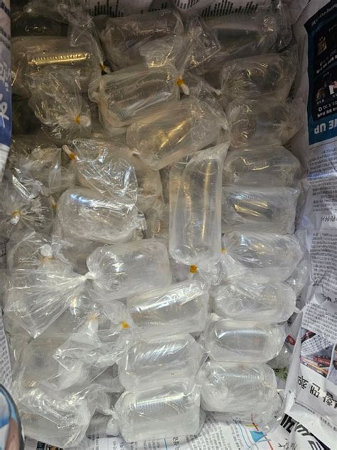 명지수족관 플렉스아쿠아 우파루파 아홀로틀 입고 되었습니다 품절 24 12 29 네이버 블로그