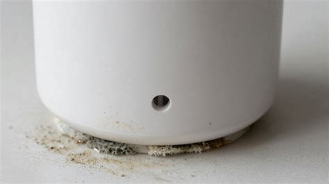 The Real Reason Your Diffuser Smells ‘off Its Not The Oil