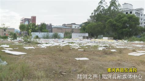 陆河要闻陆河县人民政府门户网站