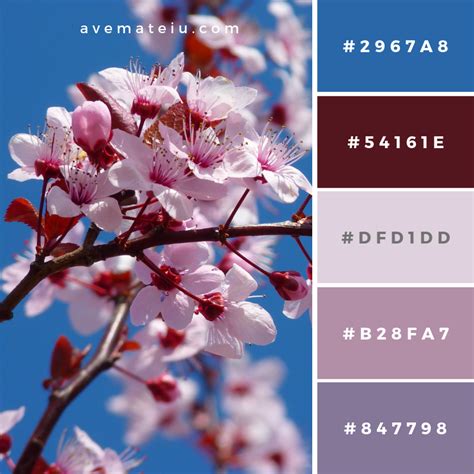 What Is Blossom Color