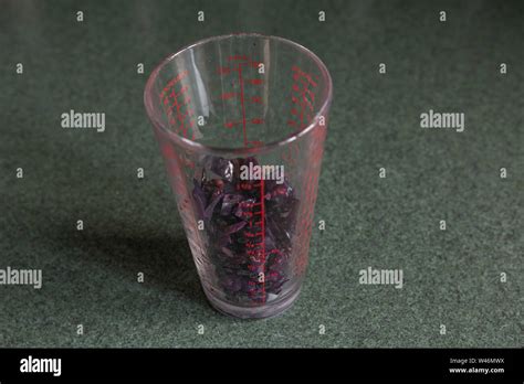 Red Cabbage Indicator Results