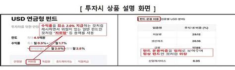 가짜 기사 동원해 ‘연금형 달러 펀드 투자 권유…금감원 “사기 주의”
