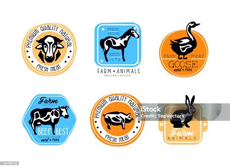 유기농 고기 라벨 세트 프리미엄 품질의 자연 신선한 고기 스티커와 배지 벡터 일러스트 레이 션 로고에 대한 스톡 벡터 아트 및