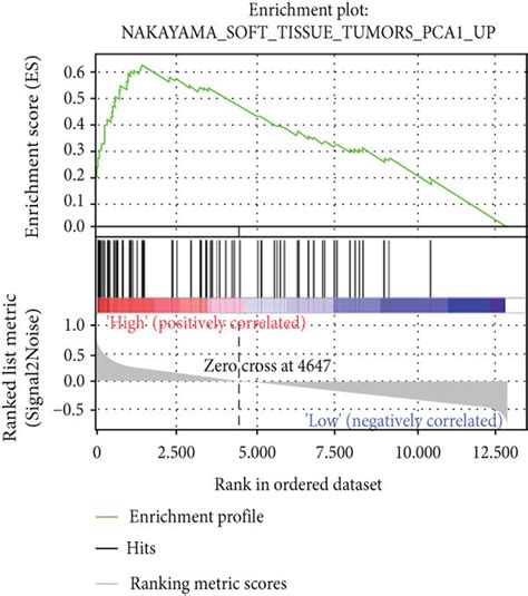 Gene Set Plot At Ella Kendall Blog