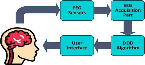basic block diagram of eeg based ddd systems [38] download scientific