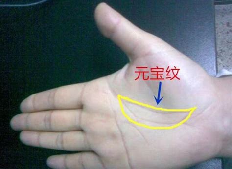 元宝手指头图片 元宝拇指头 大山谷图库