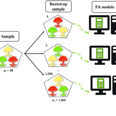 Flowchart Of Bootstrap Samples And Fitted Models In Ilex Paraguariensis