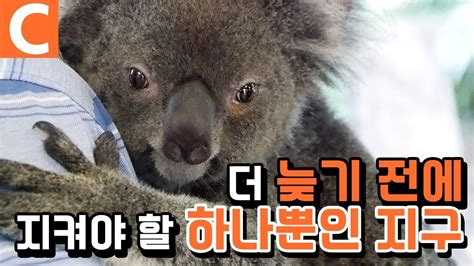 불타고 있는 지구 반대편 되돌릴 수 없기에 지켜야 할 하나뿐인 지구 Youtube