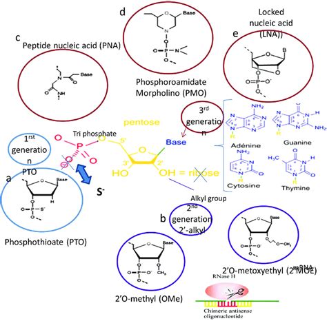 Chemical Modifications Of Aso A First Generation Pto B Second Download Scientific Diagram