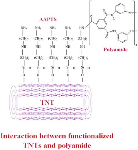 Schematic Formation Of Polyamide With Nh 2 Tnts Reprinted With