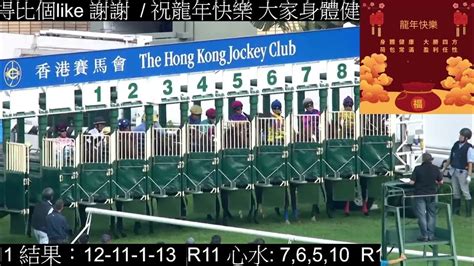 綠茵快活group 23～24賽季~冷p賭一隻 2月15日（星期四）快活谷九場賽事 （草地賽道c跑道）賽馬賽馬貼士hkjc賽馬心水排