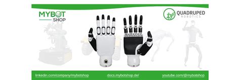 Inspire Dexterous Hand Advanced Robotics For Automation Interactio