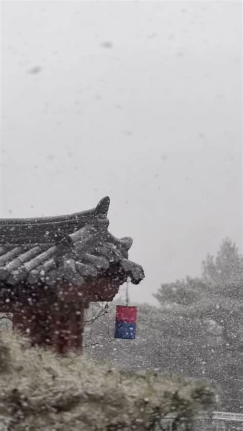숲으로 출근하는 여자 숲의 향기를 담다 출근길 가을속으로🍂 단풍명소 계룡산동학사공주시 에피톤프로젝트공연 가고