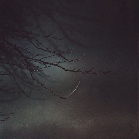 A Tree Is An Endless Poem And The Flirting Wind Wraps Her Arms Around Its Branches To Absorb A Tree Is An Endless Poem And The Flirting Wind Wraps Her Arms Around Its Branches To Absorb