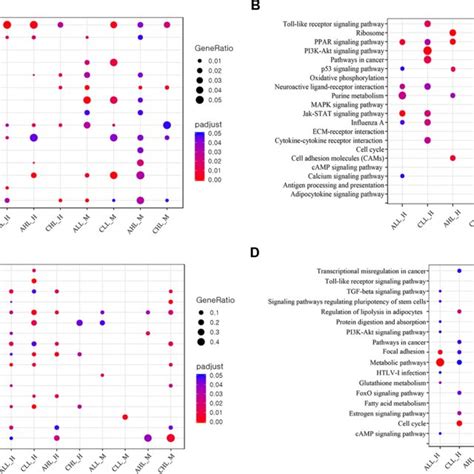 Go And Kegg Pathway Enrichment Analysis A Dot Plot Shows The