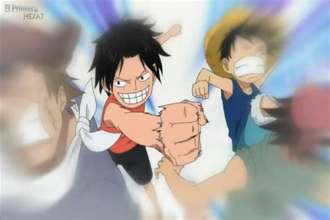 Ace And Luffy The D Brothers Luffy And Ace Photo Fanpop