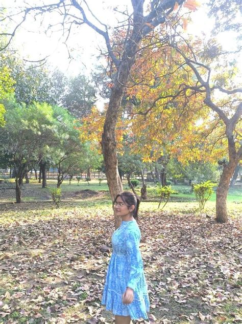 Learningjourney Webdevelopment Dsa Java Notes Productivity