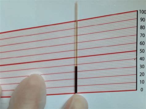 Physio Lab Practicum Flashcards Quizlet