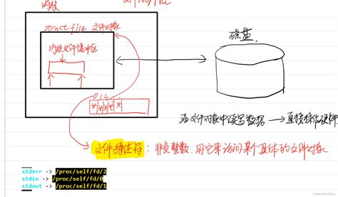 Linux系统编程：文件描述符以及io多路复用程序中文件描述符值得变化 Csdn博客