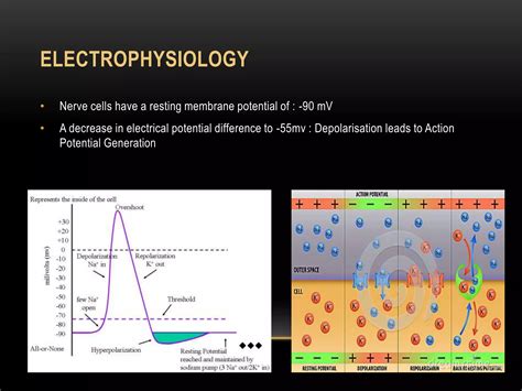 Basics Of Peripheral Nerve Stimulation Pptx