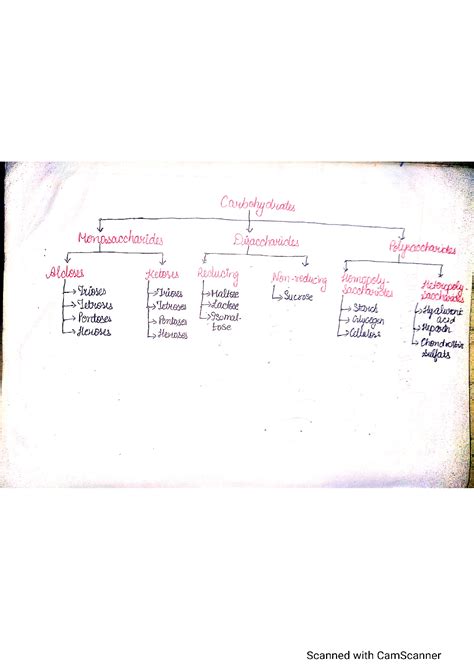 SOLUTION Biochemistry Notes Studypool