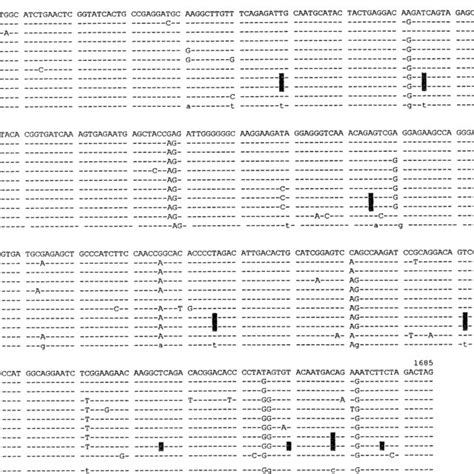 Nucleotide Sequence Alignment Of The Carboxy Terminal Variable Region