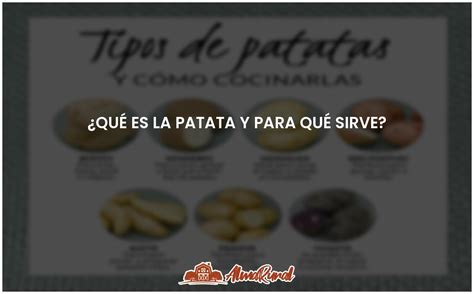 Beneficios Y Usos De La Patata Todo Lo Que Necesitas Saber Almarural
