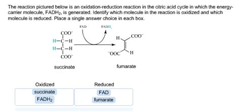Oxidationreduction Reactions Analyzing Organic
