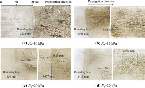 enlargement of the evolution of cellular patterns in the ddt zones