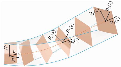 Dynamic Modeling Of Soft Continuum Manipulators Using Lie Group