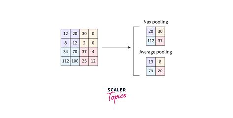 Convolutional Neural Networks With PyTorch Scaler Topics