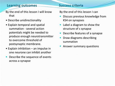PPT The Structure And Function Of Synapses PowerPoint Presentation Free Download ID