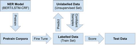 a pre training and self training approach for biomedical named entity recognition ornl